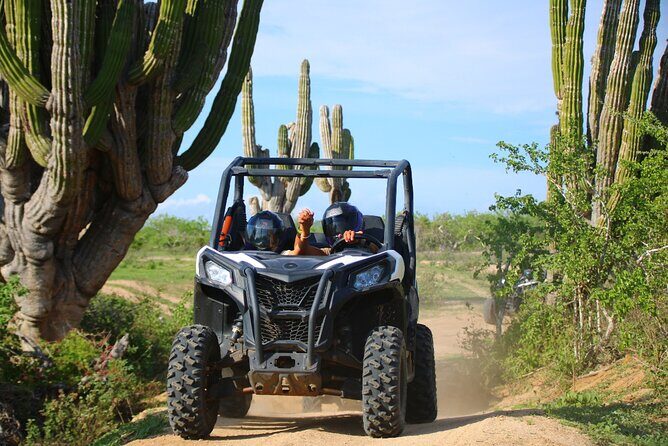 Los Cabos UTV Outdoor Experience to the Hidden Arch - Who Should Consider This Tour?