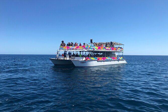 Los Cabos Whale Watching Cruise Including Breakfast - Practical Tips for Travelers