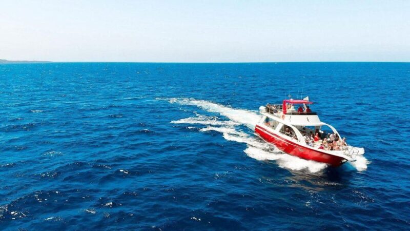 Los Cristianos: Eco Yacht Whale Watching Tour at Sunset - Deep Dive into the Itinerary