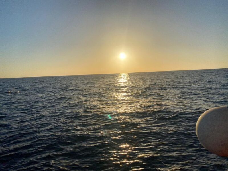 Los Cristianos: Eco Yacht Whale Watching Tour at Sunset - Authentic Insights from Reviewers