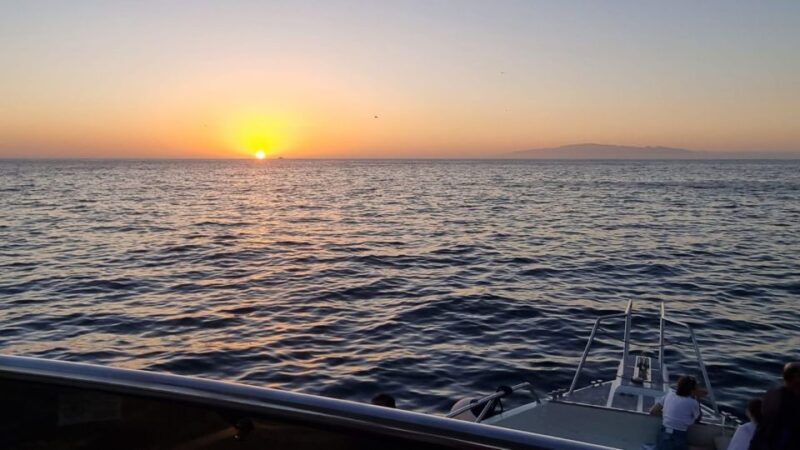 Los Cristianos: Eco Yacht Whale Watching Tour at Sunset - Final Thoughts