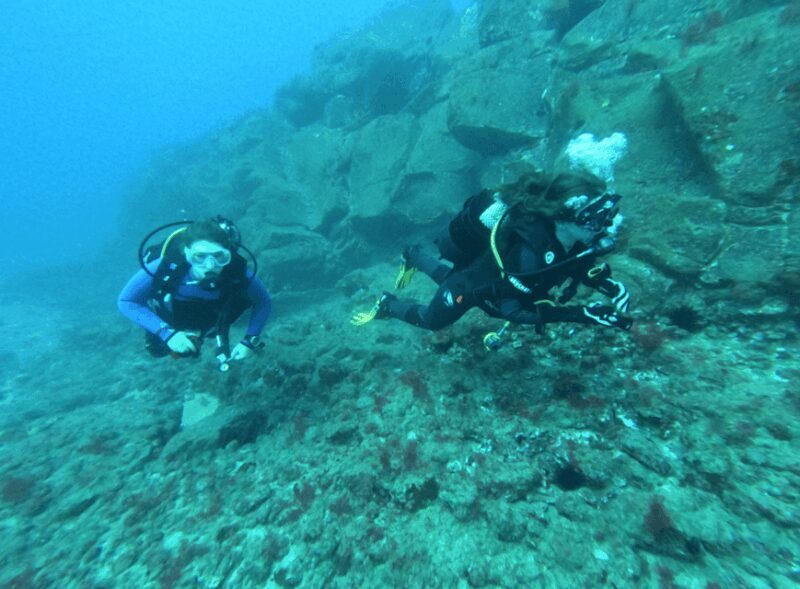 Los Cristianos: Try Dive for beginners - The Sum Up