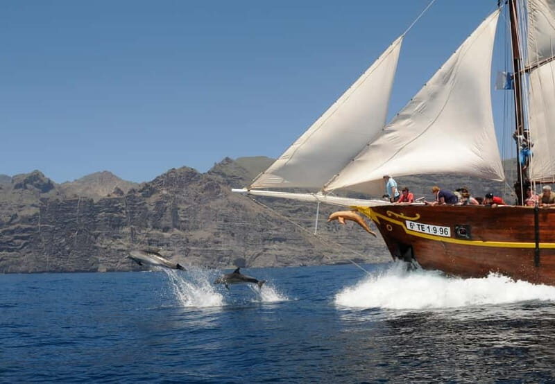 Los Gigantes: Dolphin & Whale Watching Tour on a Pirate Boat - Authentic Experiences & Review Highlights