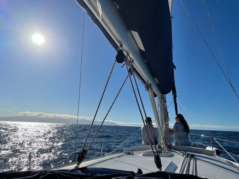 Los Gigantes: Private Sailing Tour with Swim, Drink, & Tapas - Final Thoughts