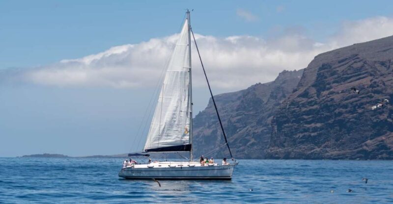 Los Gigantes: Sailing Excursion with Swimming, Drink & Tapas - Key Points