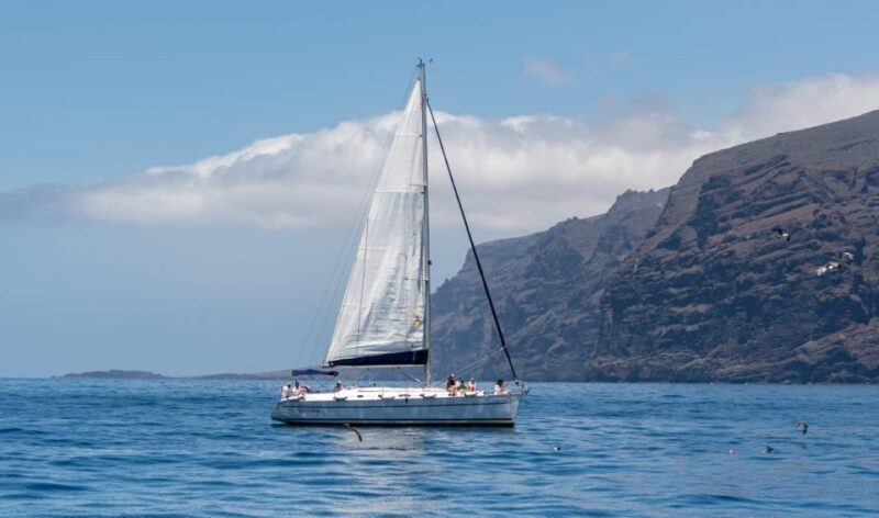 Los Gigantes: Sailing Excursion with Swimming, Drink & Tapas - Why This Tour Delivers Value