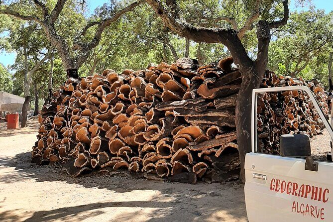 Lost Heritage of Silves & Monchique Shared Experience - Who Will Love This Tour?