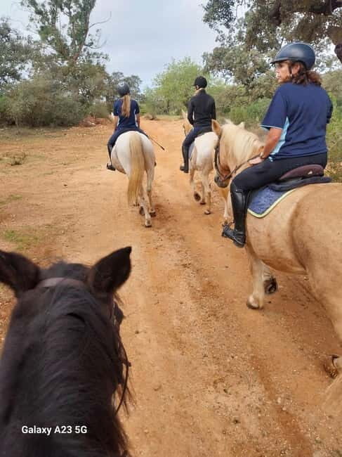 Loulé: Guided Horse Riding in the Hills of salir - Final Thoughts: Who Should Consider This Tour?