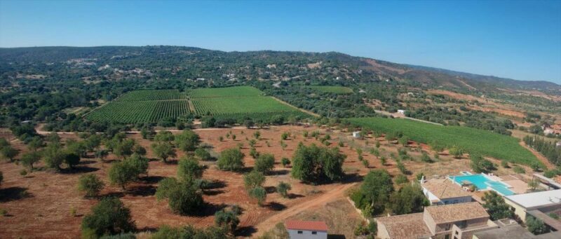 Loulé: Quinta da Tôr Winery Guided Tour and Wine Tasting - Final Thoughts