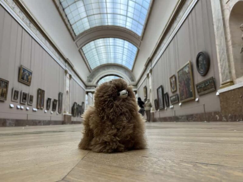 Louvre Museum Entry Ticket and Private Guided Tour - Key Points