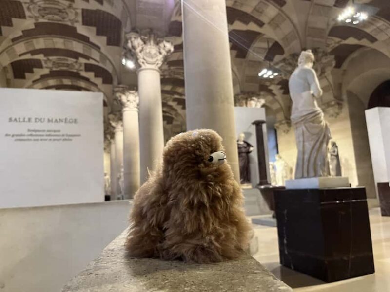 Louvre Museum Entry Ticket and Private Guided Tour - Value and Practicalities