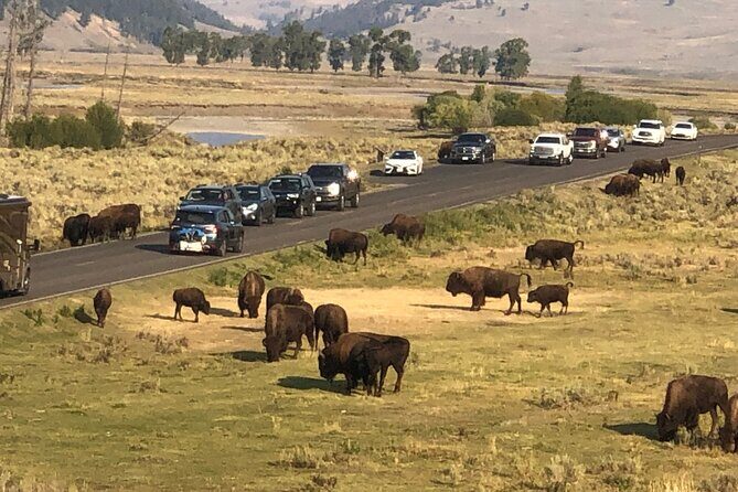 Lower Loop Hot Springs Geysers Private West Yellowstone - Who Will Love This Tour?