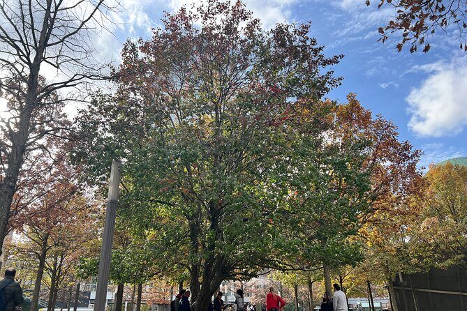 Lower Manhattan: From Financial Power to Enduring Hope - A Deep Dive into the Experience