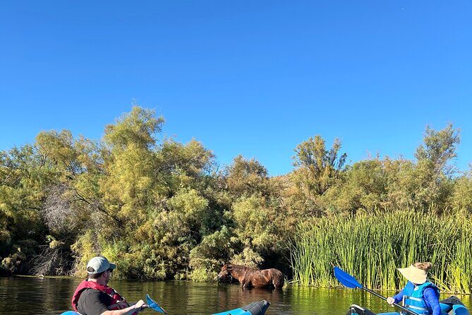 Lower Salt River Guided Kayak Tours - Who Should Book This Tour?
