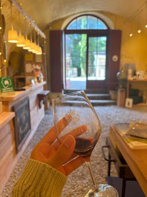 Luberon: Full-Day Wine Tour from Marseille - Key Points  