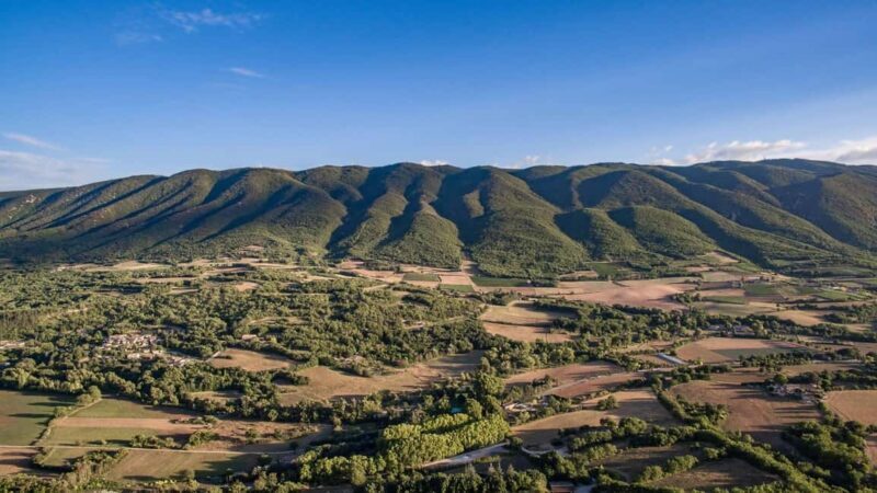 Luberon: Full-Day Wine Tour from Marseille - Discovering the South of France’s Wine Heritage