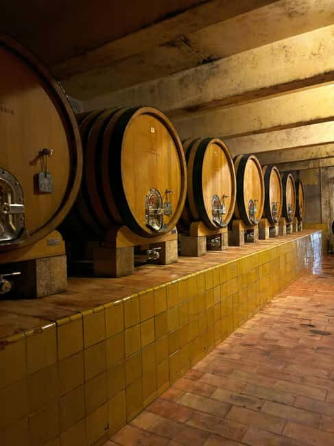 Luberon: Full-Day Wine Tour from Marseille - Practical Tips for Participants