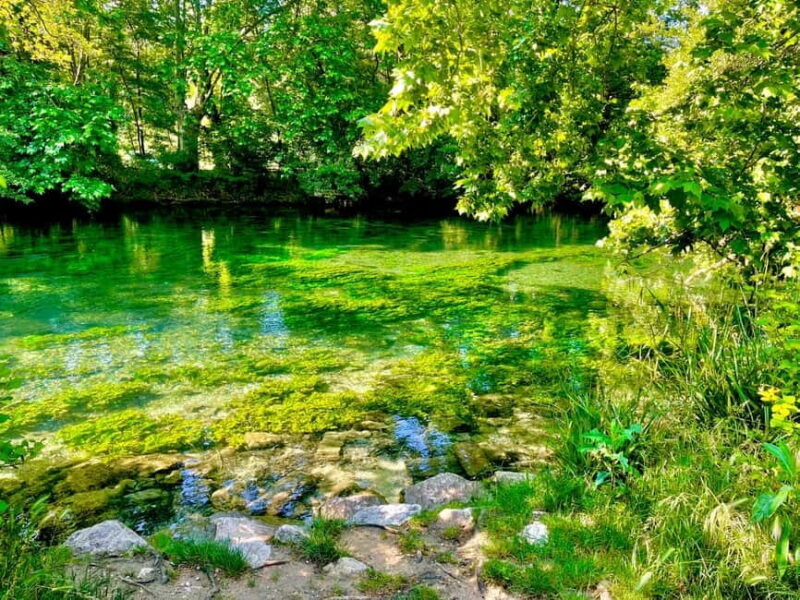 Luberon, Roussillon & Gordes Half-Day Tour from Avignon - What to Expect from the Tour