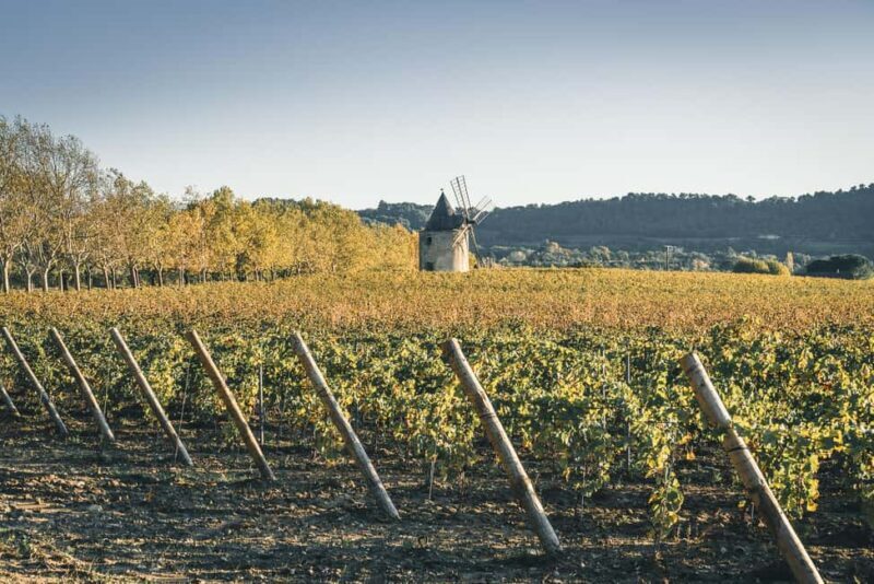 Luberon: Vineyard Tour and Wine Tasting - Key Points