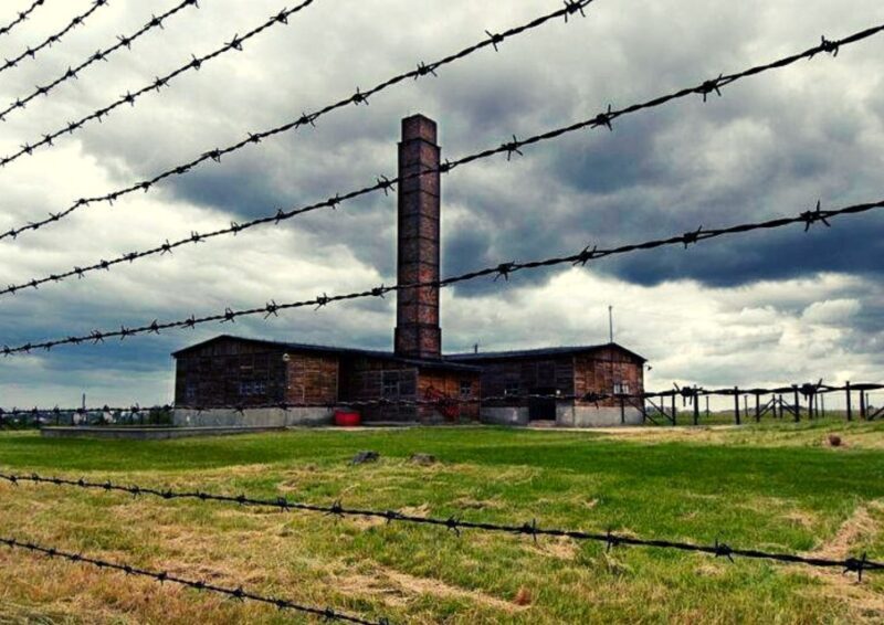 Lublin & Majdanek Small-Group Tour from Warsaw with Lunch - Introduction: A Day of Reflection and Culture