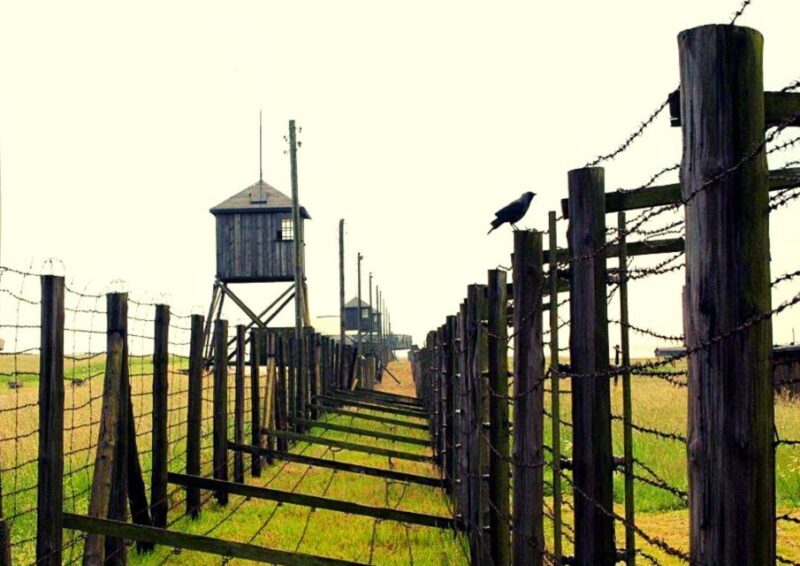 Lublin & Majdanek Small-Group Tour from Warsaw with Lunch - Final Thoughts