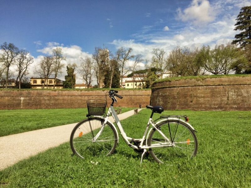 Lucca: City Bike One-Day Rental - Key Points