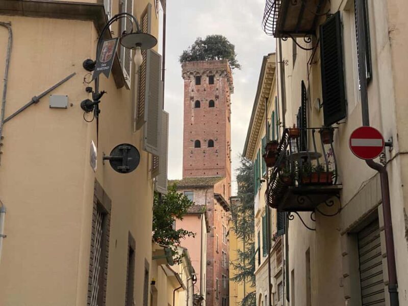 Lucca: guided visit of S. Martino, S. Frediano, city center - Practical Details and Visitor Experience