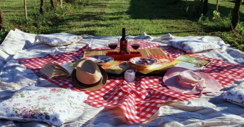 Lucca: Picnic Lunch at a Vineyard by Bike - Key Points