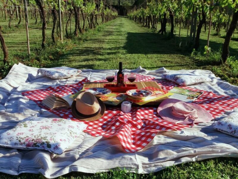 Lucca: Picnic Lunch at a Vineyard by Bike - Exploring the Itinerary: What You Can Expect