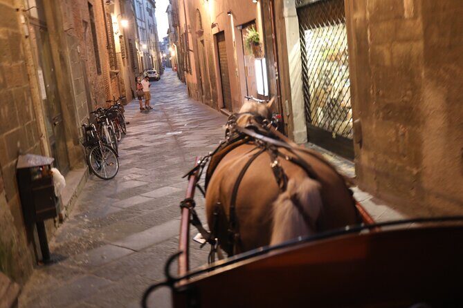 Lucca Royal Experience  Grand Tour Deluxe by Carriage (2 Hours) - What You Get and Why It Matters