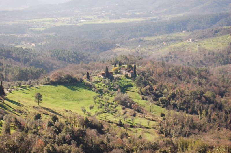 Lucca: Self-Guided Bike Tour to the Wine Roads - An Authentic Tuscan Cycling Adventure