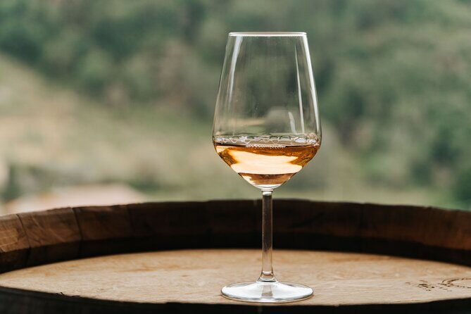 Lucca: Wine Tasting Experience - Tenuta Adamo Winery - Authentic Insights from Reviewers