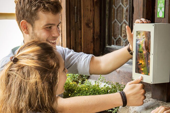 Lucerne Foxtrail Zeus - Final Thoughts: Is It Worth It?