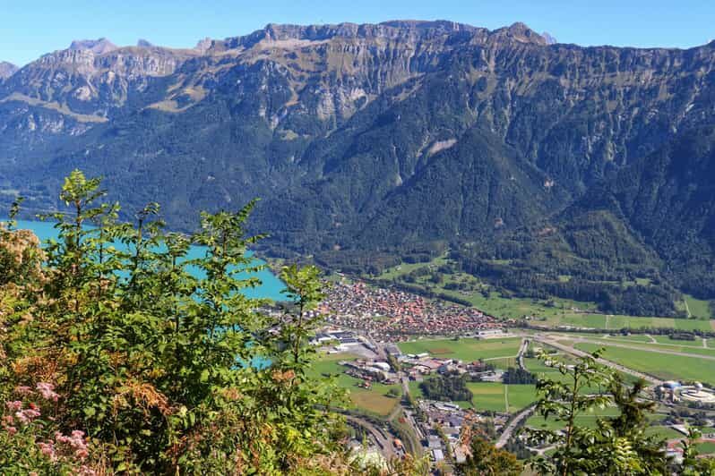Lucerne: Interlaken & Grindelwald Exclusive Private Day Tour - What’s Included and What’s Not