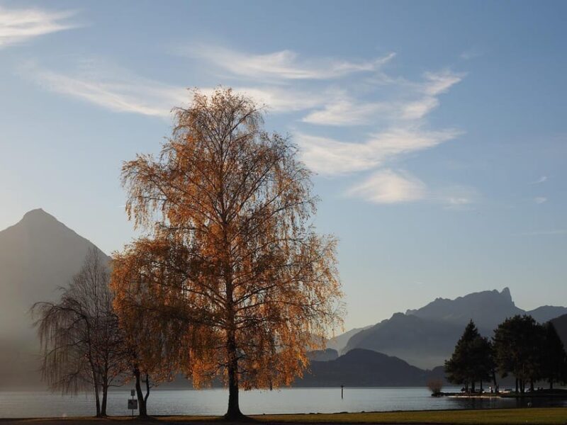 Lucerne: Interlaken & Grindelwald Exclusive Private Day Tour - Who Is This Tour Best For?