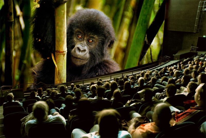 Lucerne: Swiss Museum of Transport Full Day Pass - The Sum Up