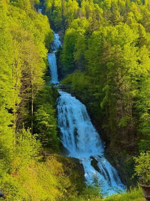 Lucerne to Interlaken & Jungfrau Private Tour - An In-Depth Look at the Experience