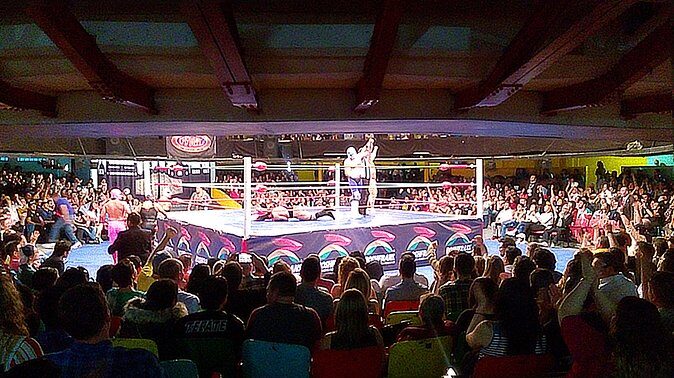 Lucha Libre wrestling show, tacos and beer with artist - Final Thoughts