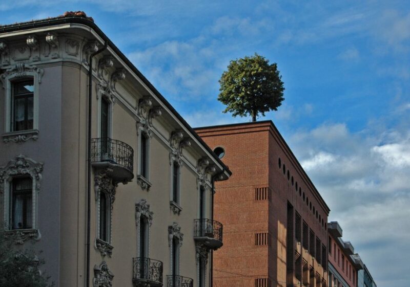 Lugano: Capture the most Photogenic Spots with a Local - The Sum Up