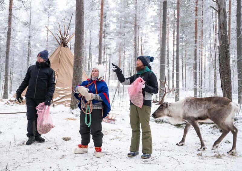Luleå: Encounter with Reindeer Experience - Key Points