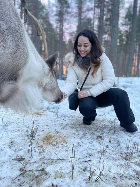 Luleå: Encounter with Reindeer Experience - An Honest Look at the Reindeer Encounter Experience