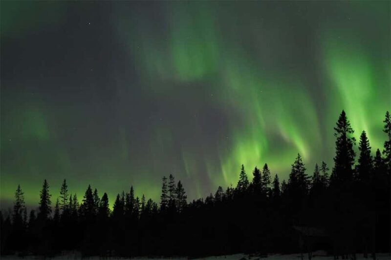 Luleå: Northern Lights Tour by Car with Swedish Treats - Key Points