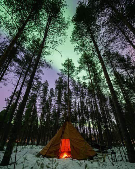 Luleå: Sami Culture, Reindeer, and Northern Lights Tour - A Detailed Look at What to Expect