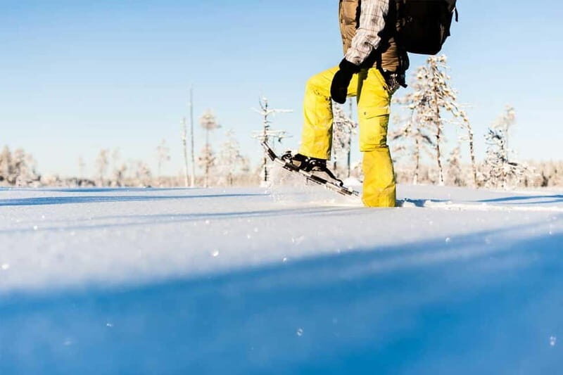 Luleå: snowshoeing in pristine nature with an expert guide! - Key Points