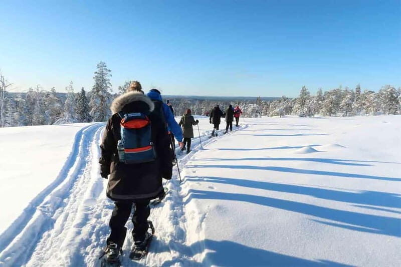 Luleå: snowshoeing in pristine nature with an expert guide! - The Itinerary: What to Expect on Your Snowshoeing Journey