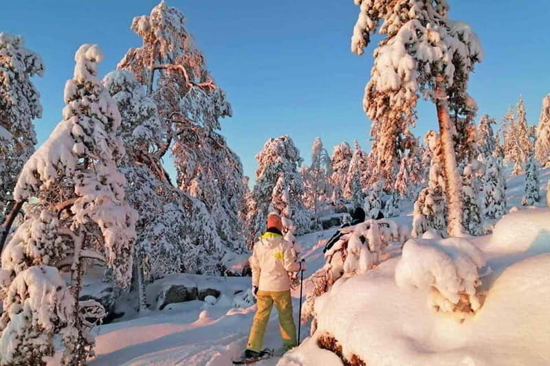 Luleå: snowshoeing in pristine nature with an expert guide! - Final Thoughts: Who Should Consider This Tour?