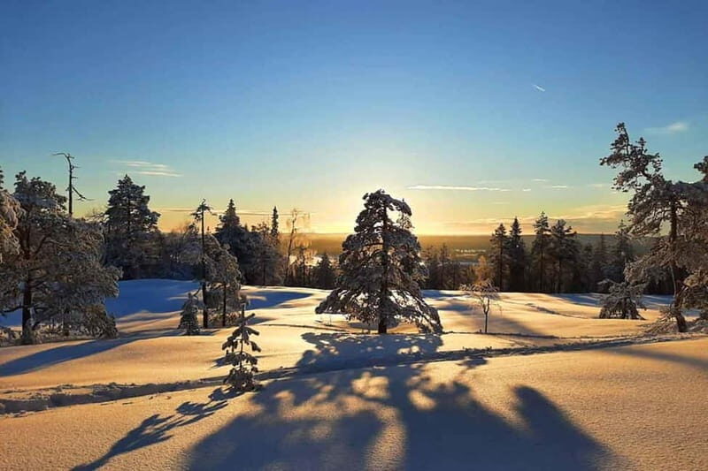 Luleå: snowshoeing in pristine nature with an expert guide! - FAQ