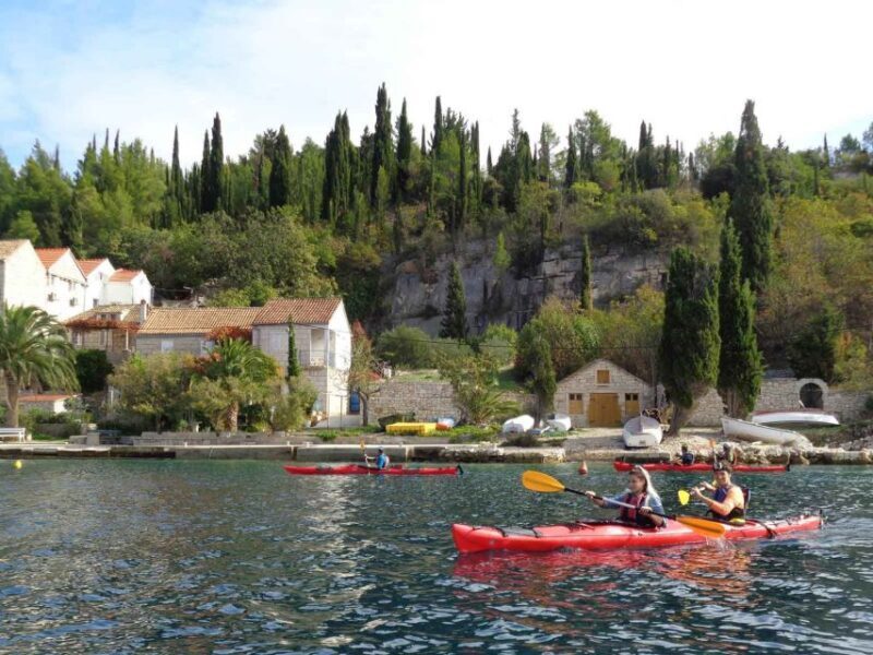 Lumbarda: Half-Day Kayaking and History with Wine delight - The True Value of This Tour  