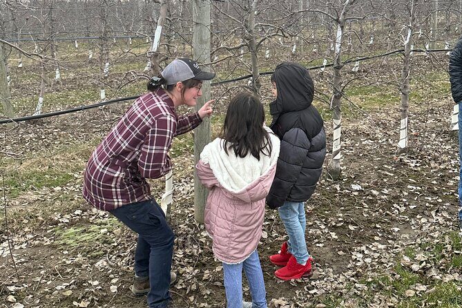 Lunch and Tour of an Apple Orchard with a Farmer in Elyria - Why This Tour Offers Good Value