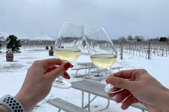 Lunch in the Vineyard: A Scenic Niagara Wine Tour Experience - Food and Tasting Inclusions